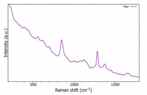 Raman Spectroscopy Identifies Microplastic Polymers