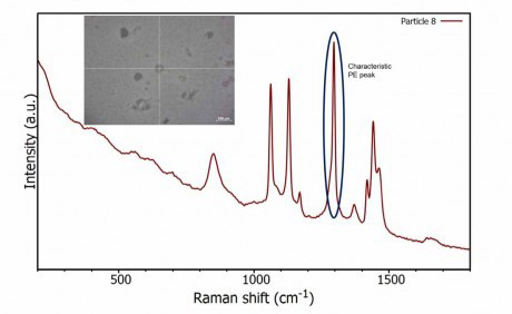 Raman Spectroscopy Identifies Microplastic Polymers
