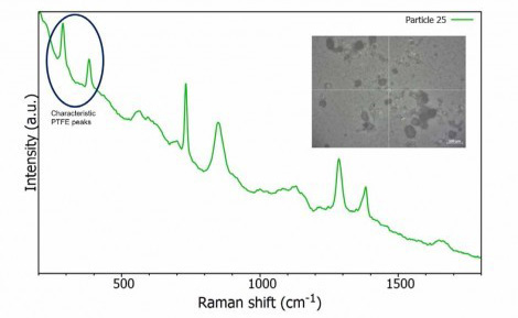Raman Spectroscopy Identifies Microplastic Polymers